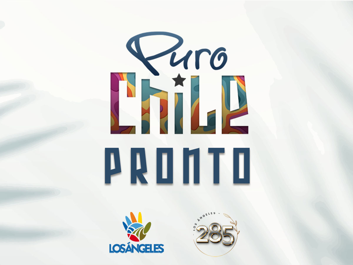 Puro Chile – Pronto 1200×900 Polideportivo